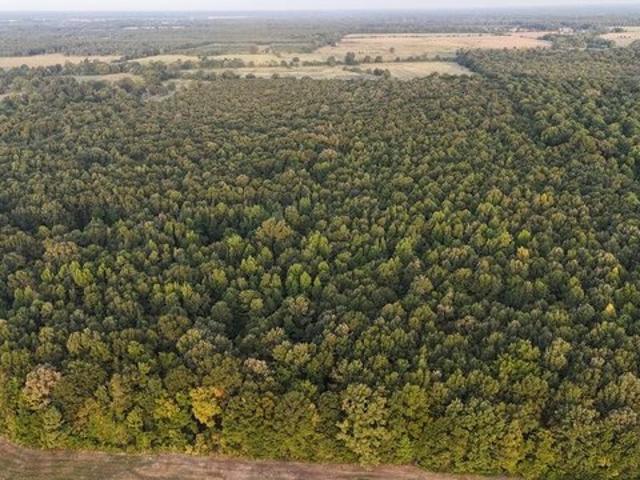 23 Little River County Rd, Ashdown, AR 71822