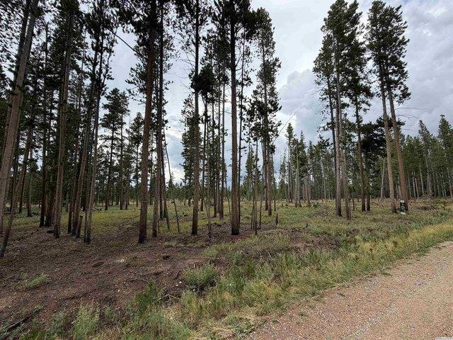 23 Lodgepole Dr, Laramie, WY 82070