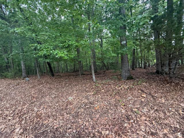 23 Lot Lee Drive