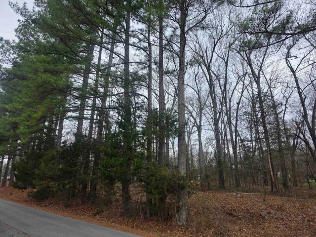 23 lots Cherokee Village & Ozark Acres