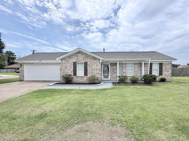 23 Mink Cv, Mason, TN 38049