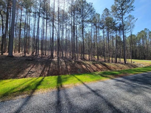 23 Mountaingate Way, Ellijay, GA 30540 | MLS #429293