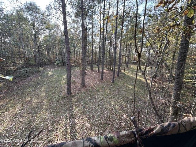23 Pheasant Rd, Roxie, MS 39661