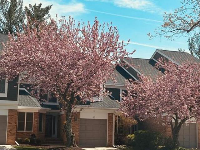 23 Raisin Tree Cir, Baltimore, MD 21208