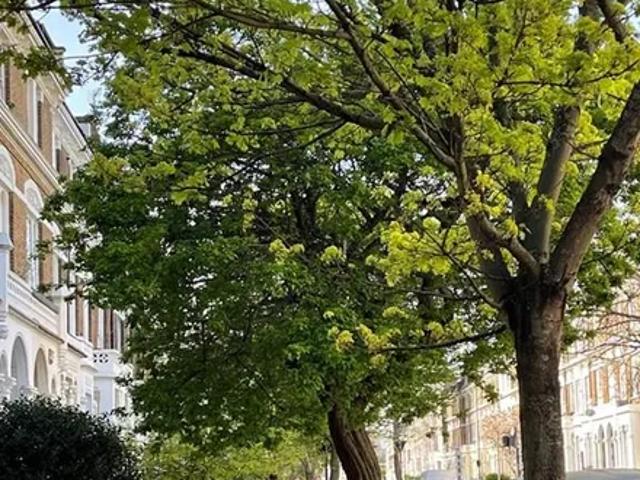 23 Sinclair Road, London, W14 0NS, United Kingdom | 2 bed house for rent #167383008 | Rentberry