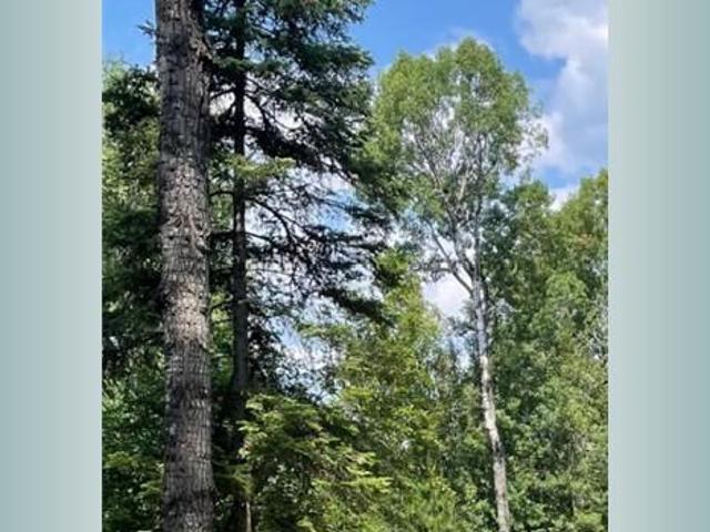 23XX Low Creek Road