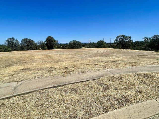 20042 Pride Mountain Ct, Anderson, CA 96007