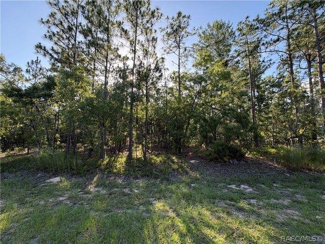 2005 County Road 243E, Wildwood, FL 34785