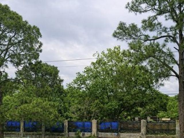 2005 S Highway 288B, Angleton, TX 77515