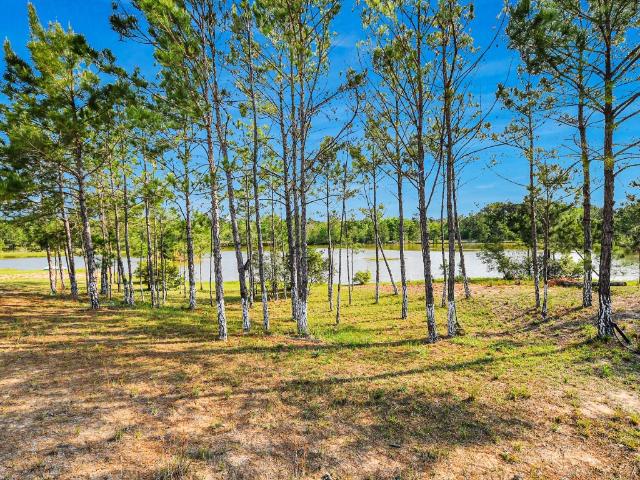 20065 Spring Hill Ln, Porter, TX 77365 | MLS #76112