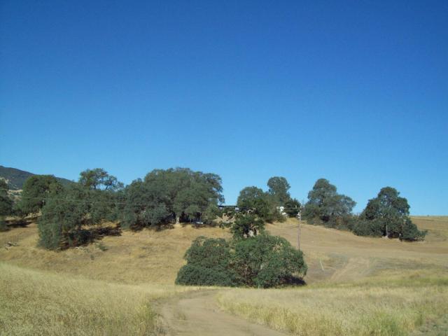 20077 Panoche