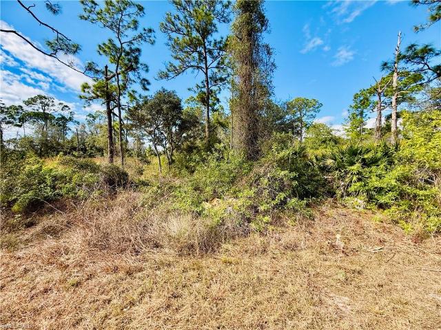 2007 Truman Ave, Alva, FL 33920 | MLS #226004 | Compass
