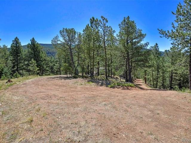 20083 S State Highway 67, Divide, CO 80814