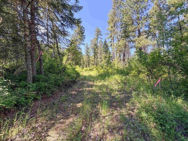 2008 TBD Summit Valley Rd, Addy, WA 99101