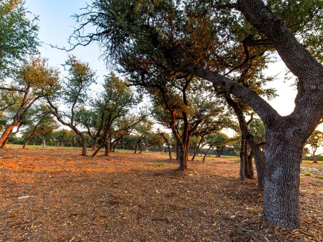 20091 Westlake Pkwy # Lot #1