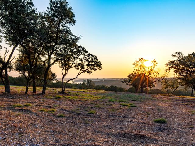 20095 Westlake Pkwy, Unit LOT #4, Georgetown, TX 78628 | MLS #4165