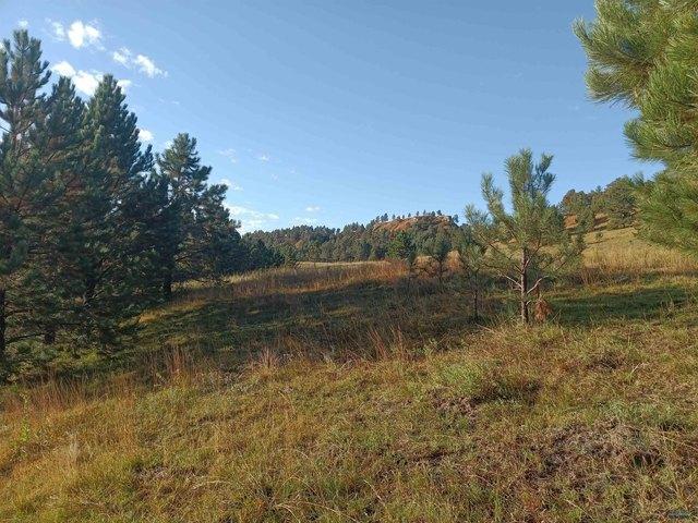 20099 Bia 4 Only Rd Lot Land, Allen, SD 57714