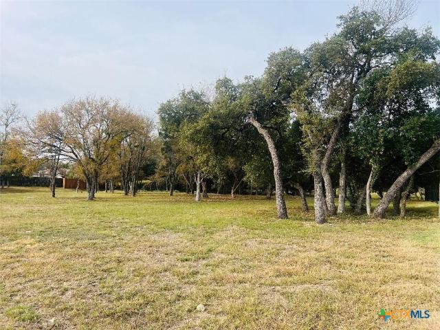 2009 Chalk Ml Xing, Salado, TX 76571 | MLS #563640