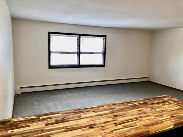2009 Commerce Blvd 1 Bedroom Apartment for Rent at 2009 Commerce Blvd, Mound, MN 55364