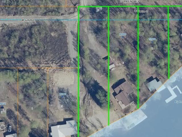 20000 W Hewitts Court, Big Lake, US, AK