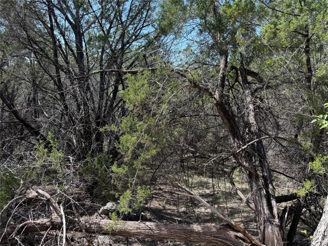 20000 Continental Cove, Lago Vista, TX 78645 | MLS #1777