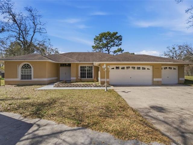 20000 Harvie Ln, Lutz, FL 33558