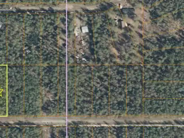 20007 E TACKLE AVE, WILLOW, AK 99688 Vacant Land For Sale MLS.