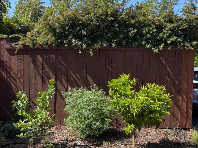 2000 Garden St, Santa Barbara, CA 93105 | MLS #26 1257 | Compass