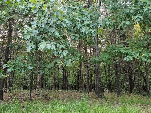 2000 Heather Dr, Lake Sherwood, MO 63357
