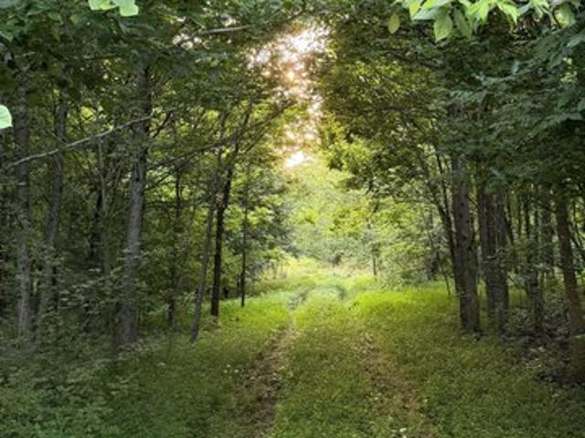 2000 Sparks Rd, Lake Cormorant, MS 38641