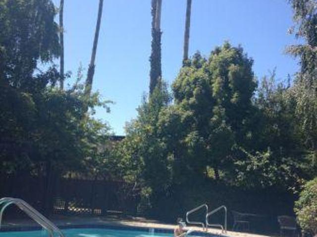 $2000 / 1br 800ft² Spacious 1 Bedroom Apt. in quiet complex Utilities included!