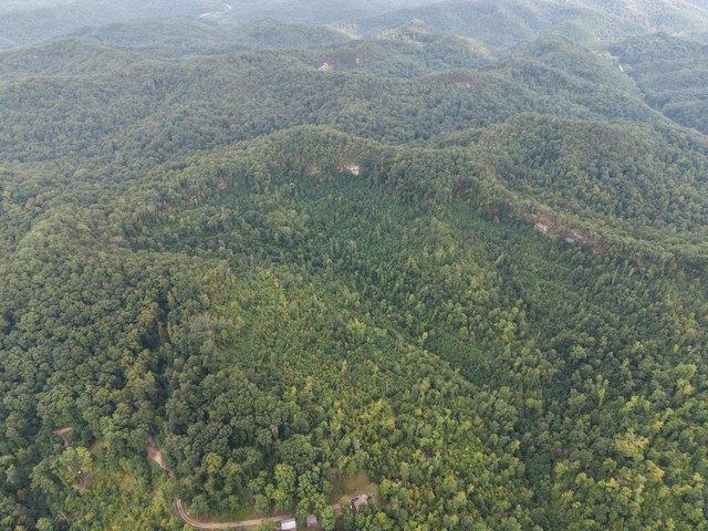 2000 3781 Skidmore Rd, Frenchburg, KY 40322