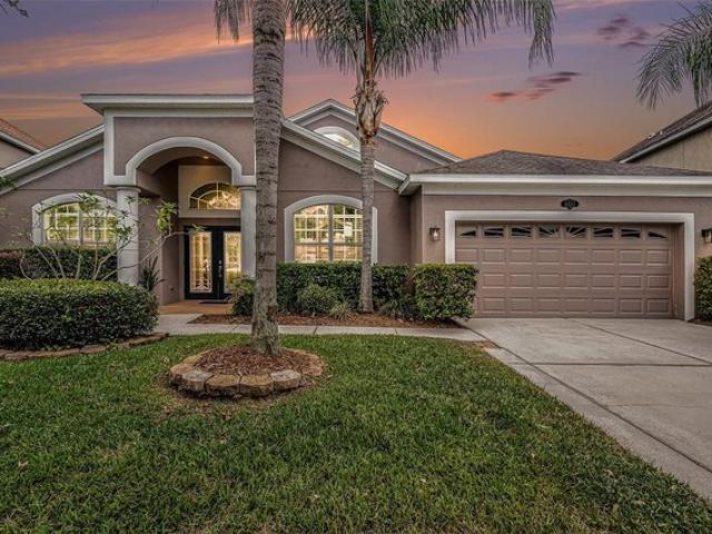 20017 Painting Nature Ln, Tampa, FL 33647