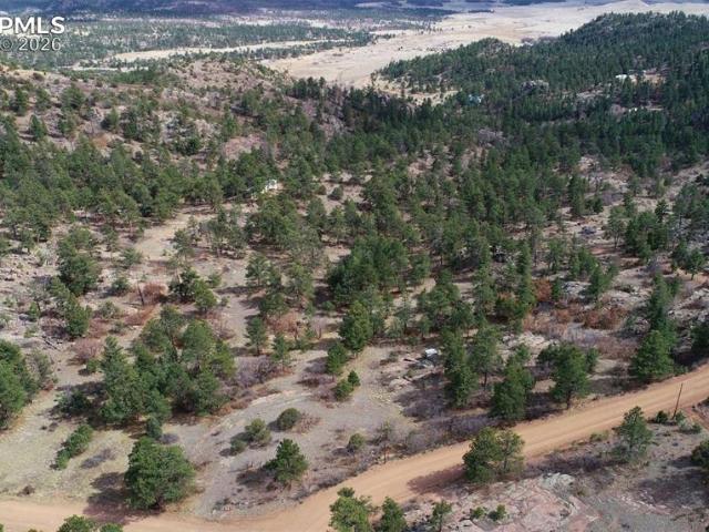 2002 Comanche Cir, Florissant, CO 80816 | MLS #8955 | Compass