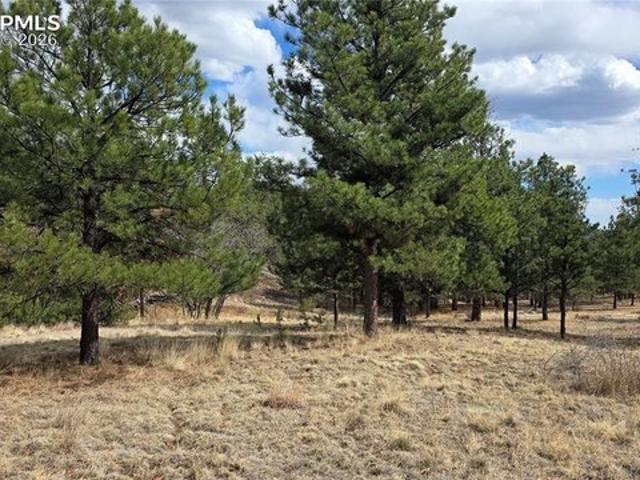 2002 Comanche Cir, Florissant, CO 80816