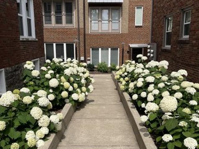 2003 Convent Pl Apt 6, Nashville, TN 37212