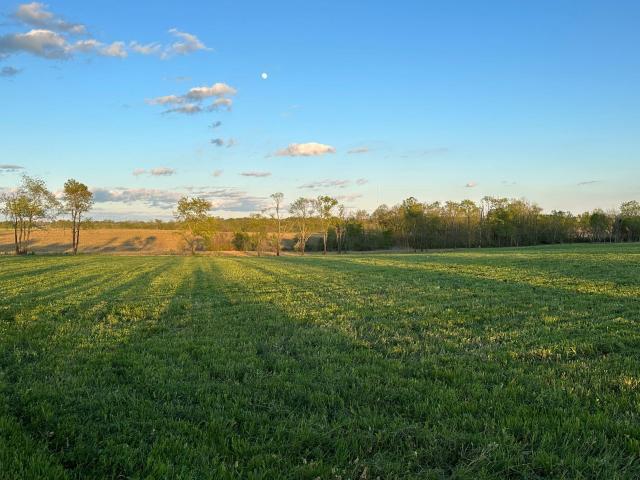 2003 Walnut Grove Road