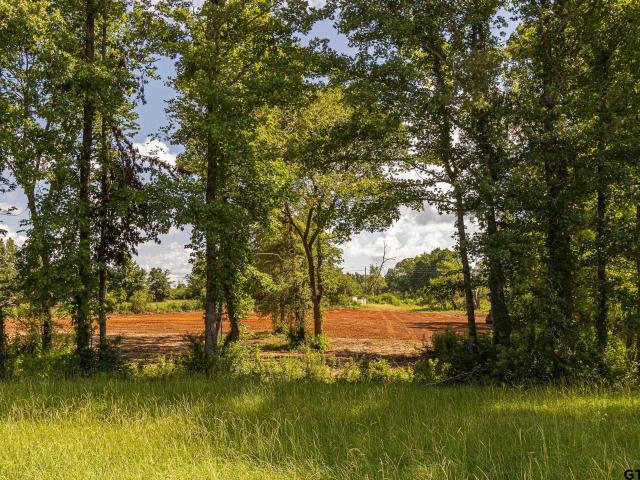 200 Coventry St, Bullard, TX 75757 | MLS #26005 | Compass