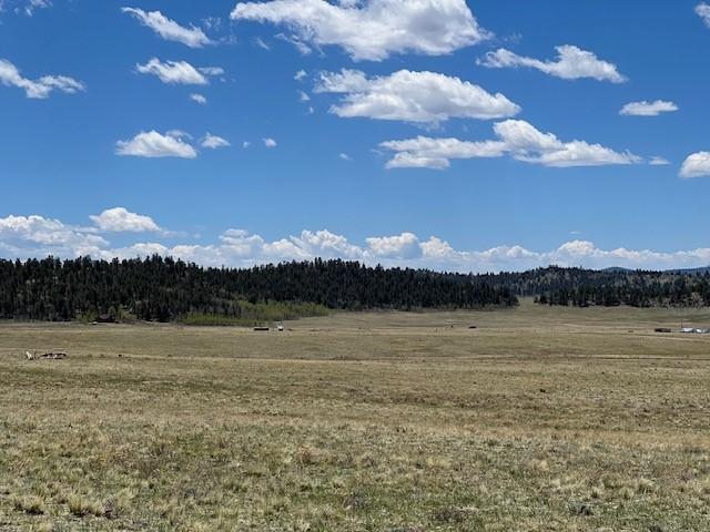 200 Cedar Ln, Hartsel, CO 80449 | MLS #S1068 | Compass