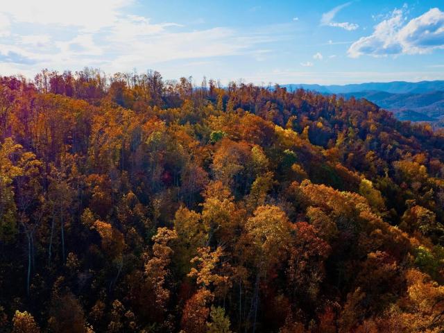 200 Chestnut Mountain Road
