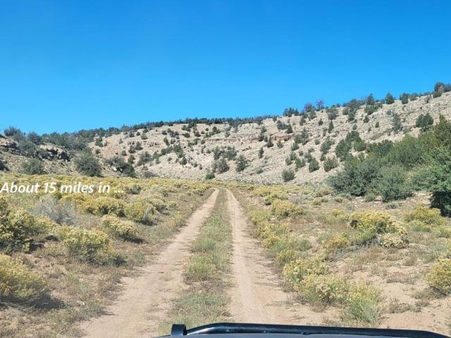 200 Acre Ranch # B