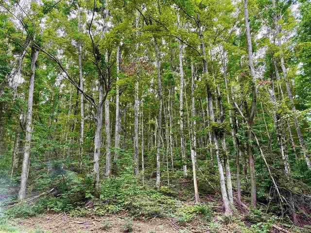 200 Beau Rivages Dr Lot 47, Harbor Springs, MI 49740