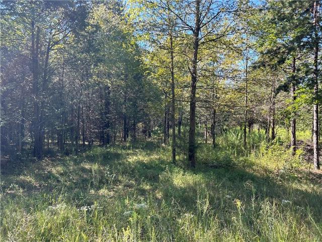 200 Bramblewood Ln, Mocksville, NC 27028 | MLS #1194 | Compass