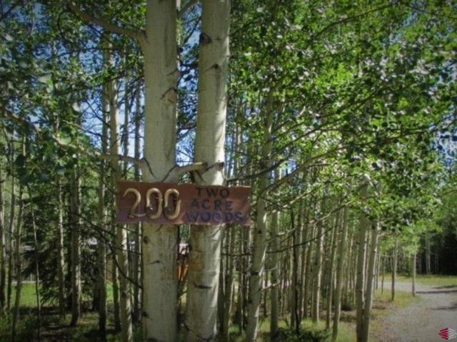 200 Hazel Lake Dr, Cimarron, CO 81220 | MLS #833382