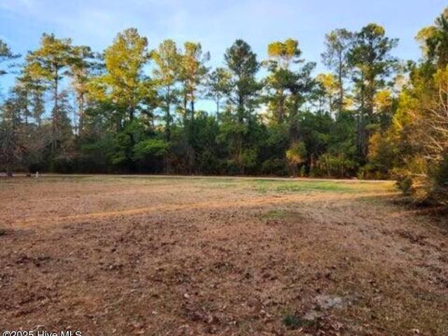 200 Hickory St, Oriental, NC 28571 | MLS #100491