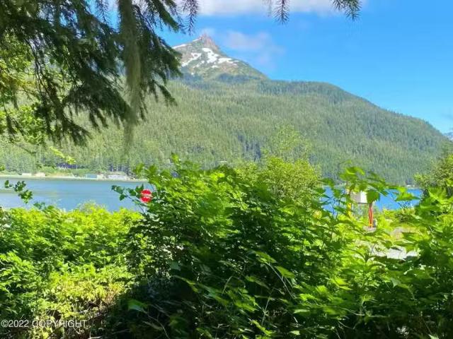200 HIGHLAND DR, CORDOVA, AK 99574 Vacant Land For Sale MLS#.