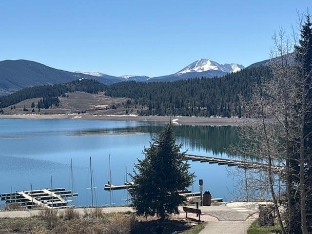 200 La Bonte St, Unit 225, Dillon, CO 80435 | MLS #S1068 | Compass