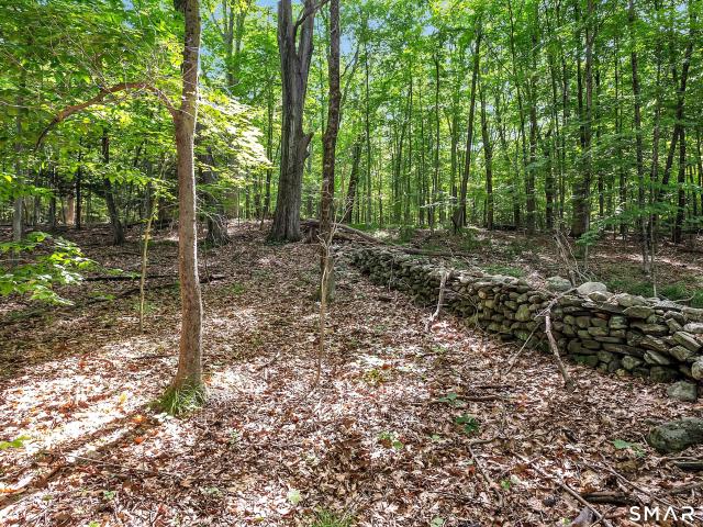 200 North St, Roxbury, CT 06783 | MLS #24189