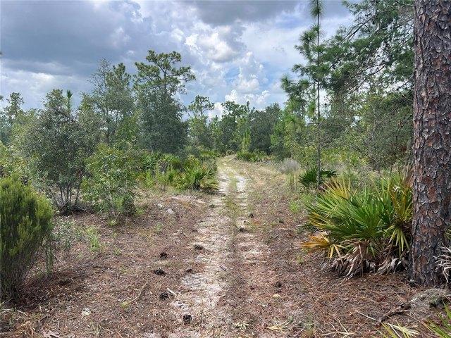 200 St, Archer, FL 32618