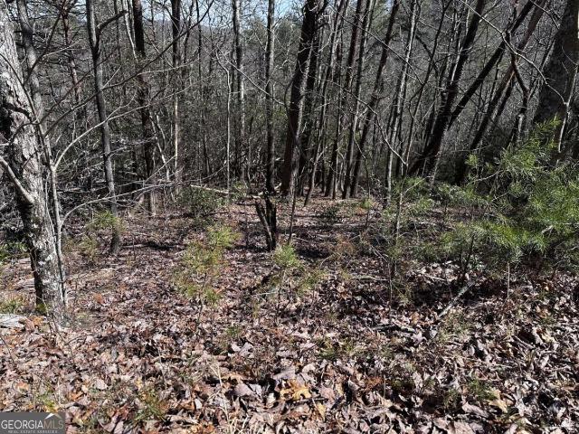 200 Stone Cliff Dr, Talking Rock, GA 30175 | MLS #10710